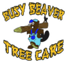 Busy Beaver Tree Care - Expert Tree Removal & Trimming|Roscoe, IL